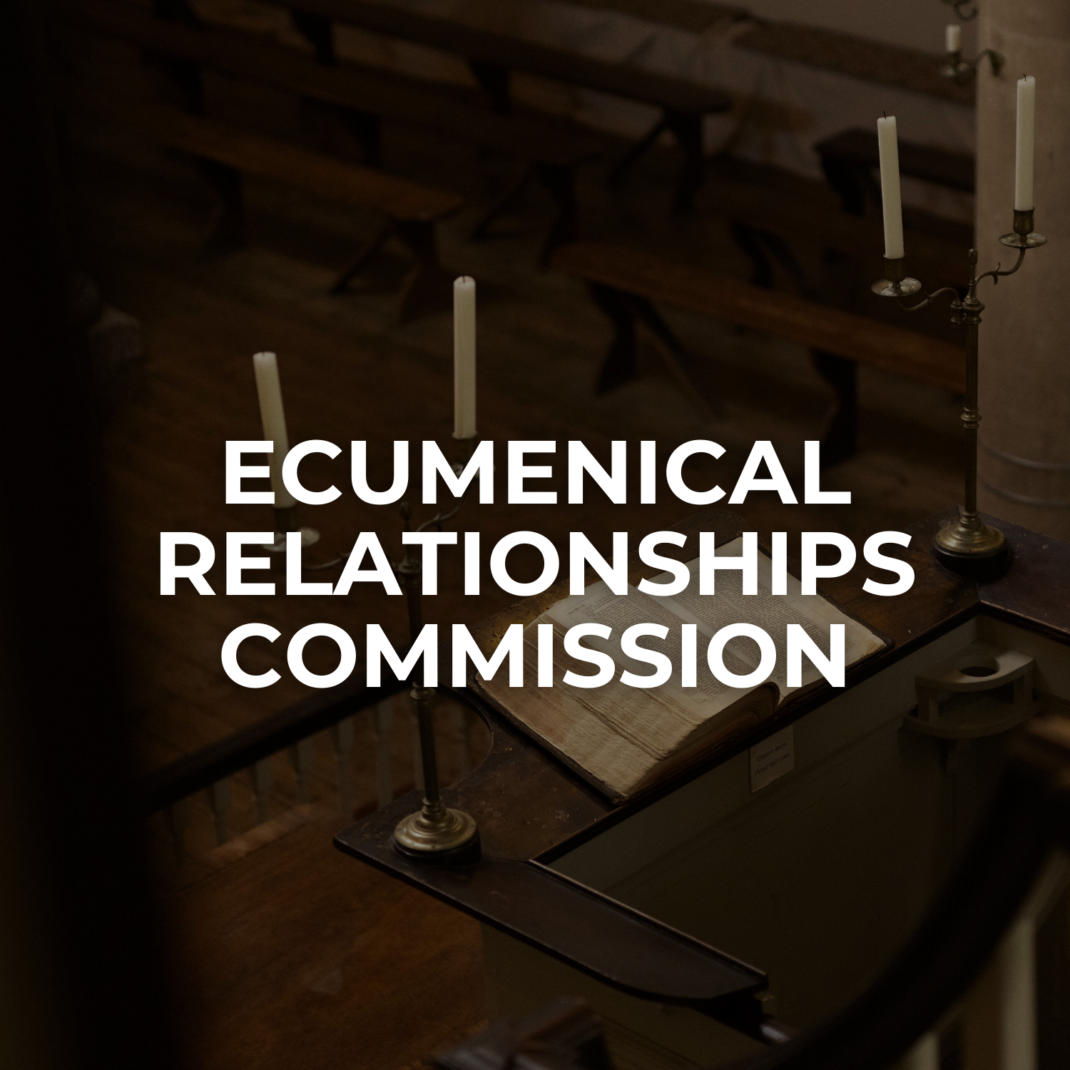 Councils & Commissions