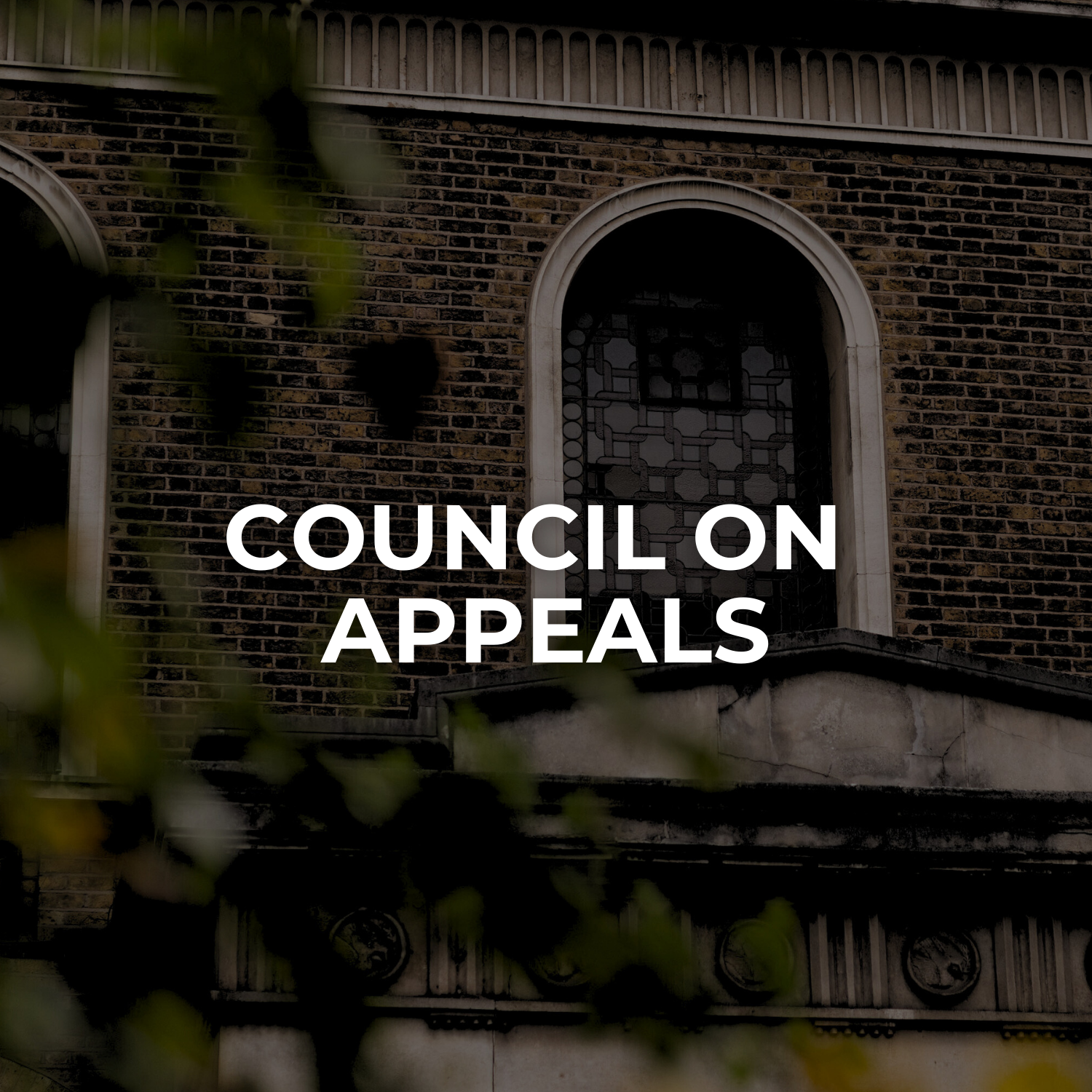 Councils & Commissions