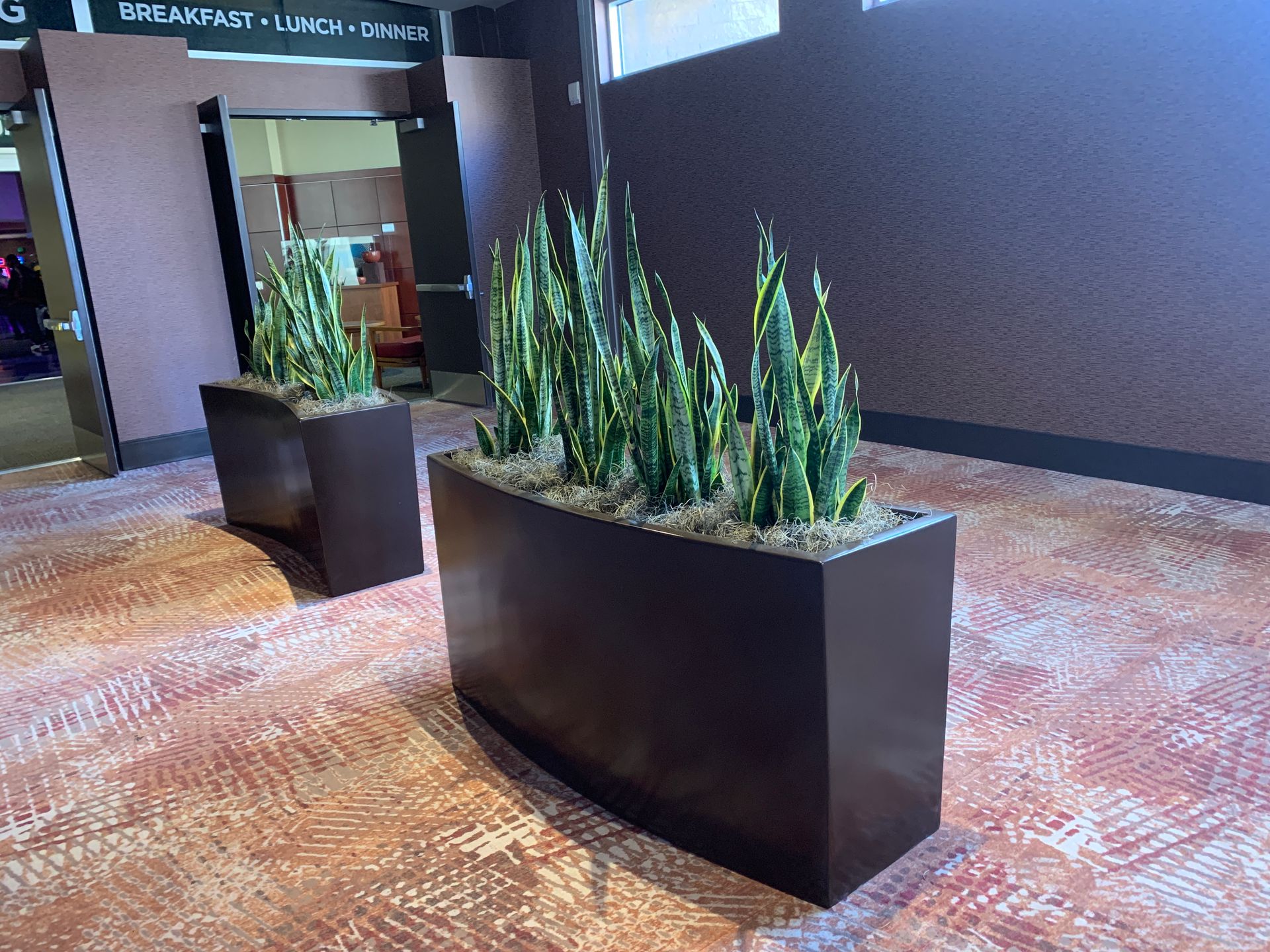 Fiberglass Planters | Phoenix, AZ | Sonoran Stonecrete