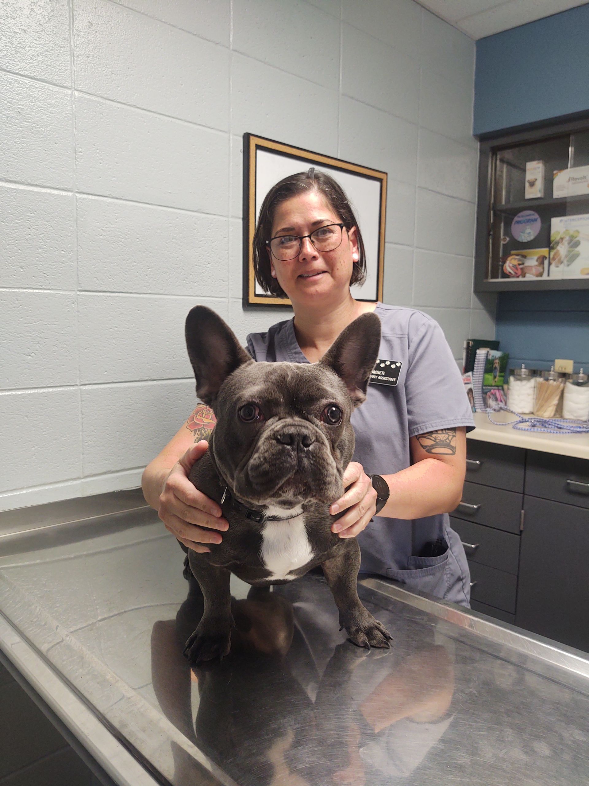 Veterinary Team | Springfield, MO | North Side Animal Clinic
