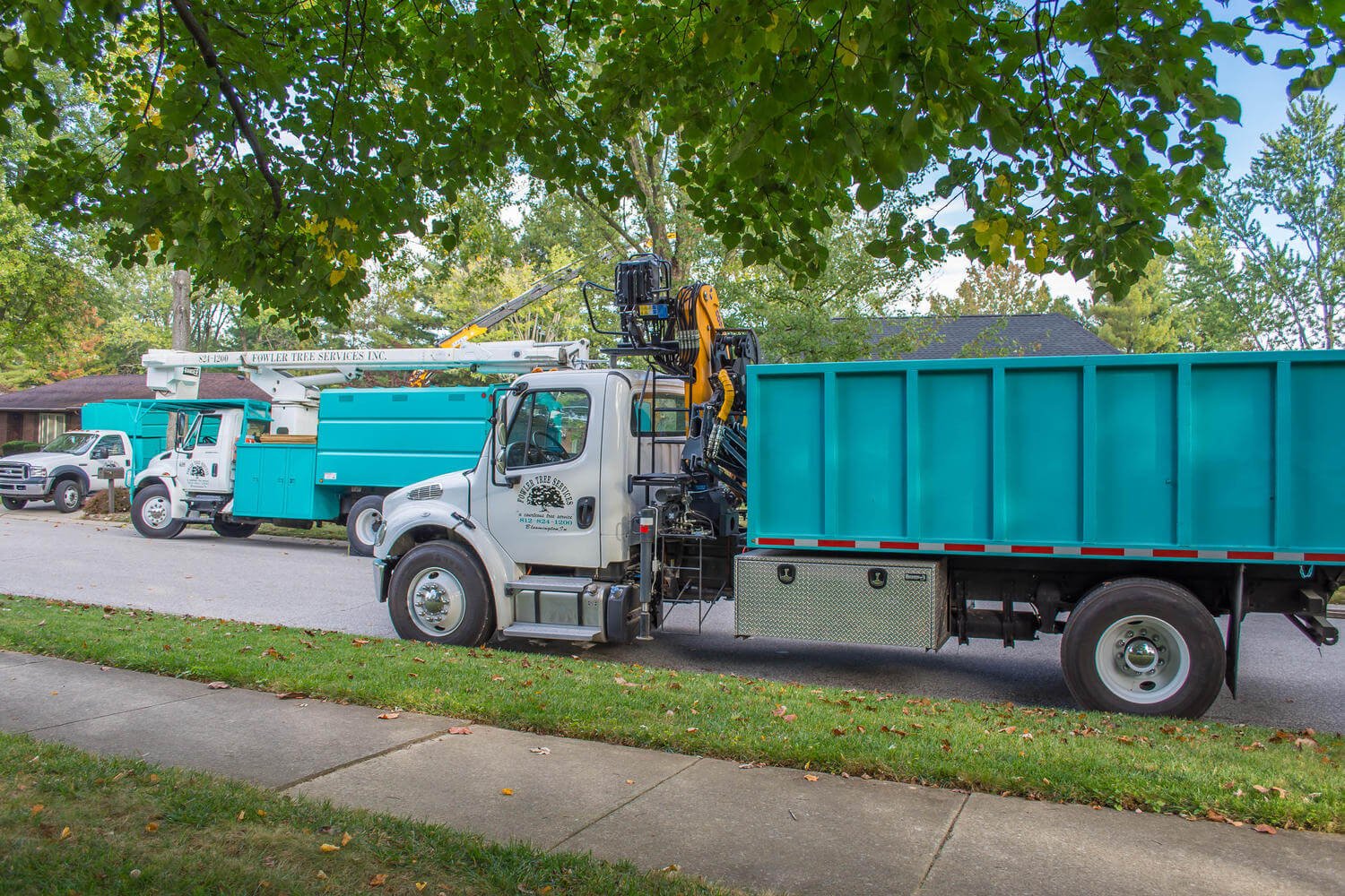 Tree Company | Bloomington, IN | Fowler Tree Services Inc.