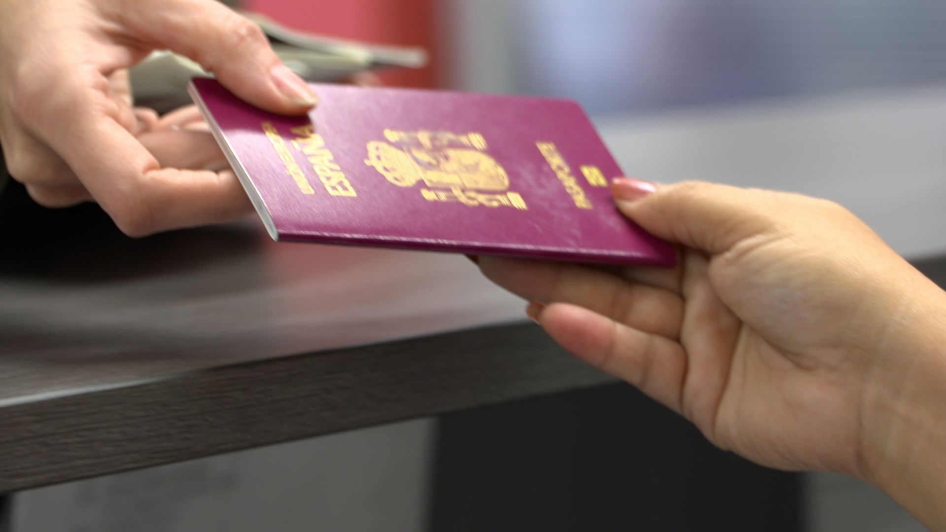 🌍 Supporting Newcomers with Compassion: A Year in Settlement Services
