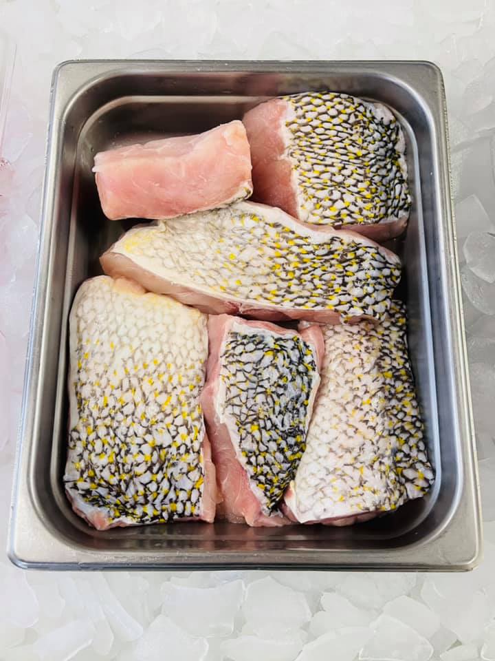 Gallery | Fish Peddler Seafood | Fresh Fish, Seafood & More