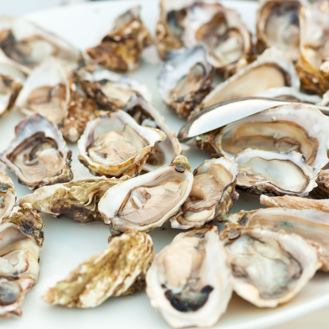 Fresh Fish & Seafood from NC Waters | Fish Peddler