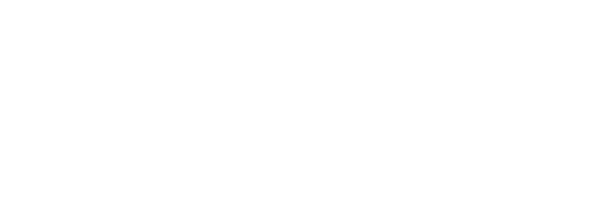 Florida Medicaid Asset Protection Planning | Elder Law Florida