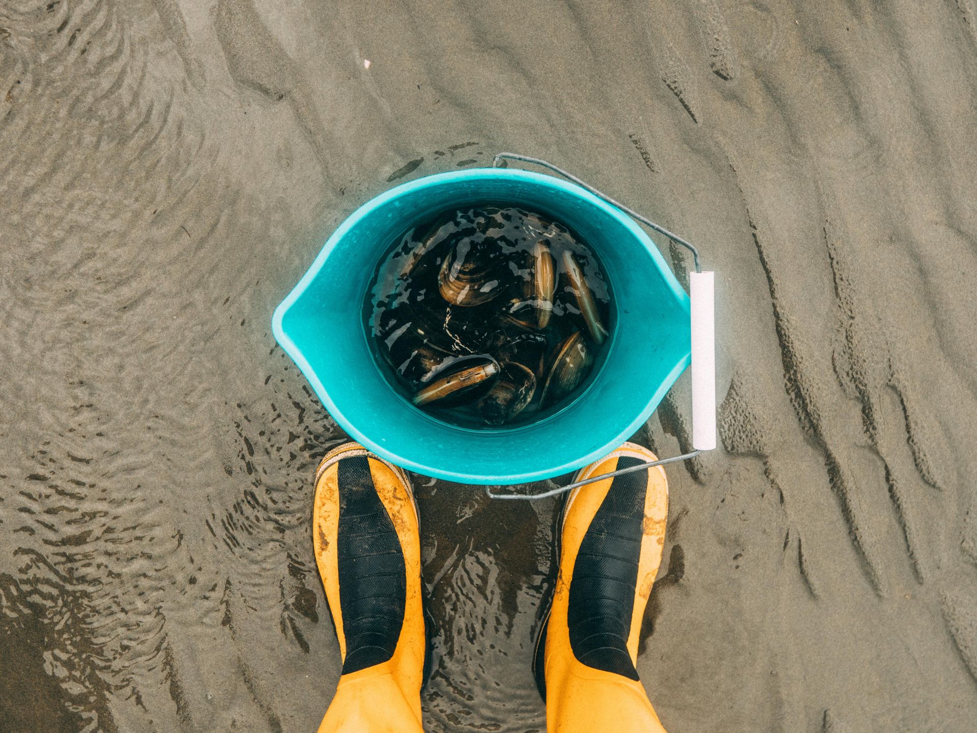 Explore Clare, Nova Scotia from Chez Gail Accommodations