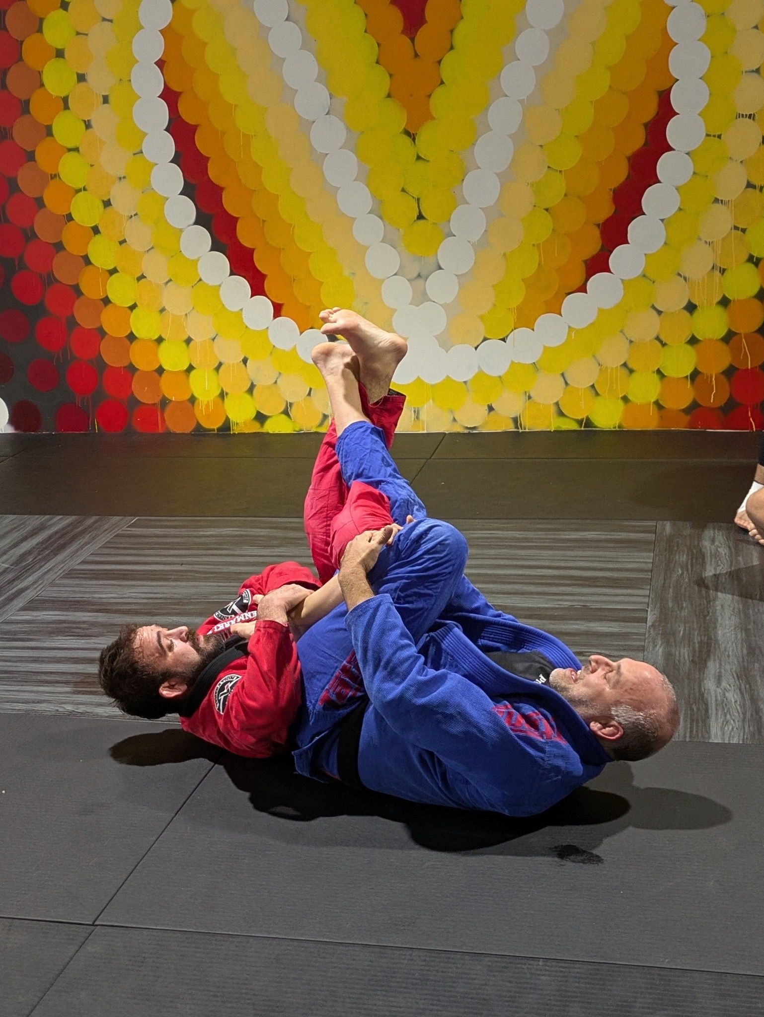 Brazilian Jiu-Jitsu Classes in Kenosha, WI | Veneration BJJ