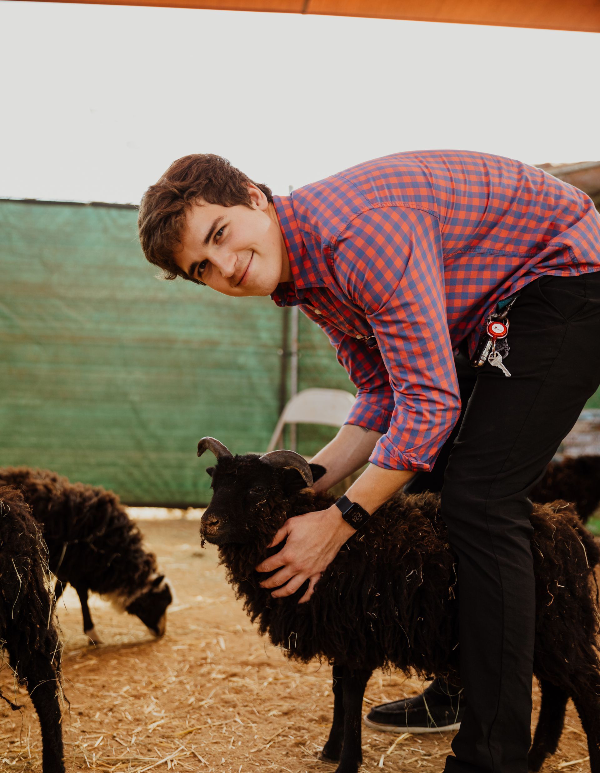 Pumpkin Patch | Carlsbad Strawberry Company