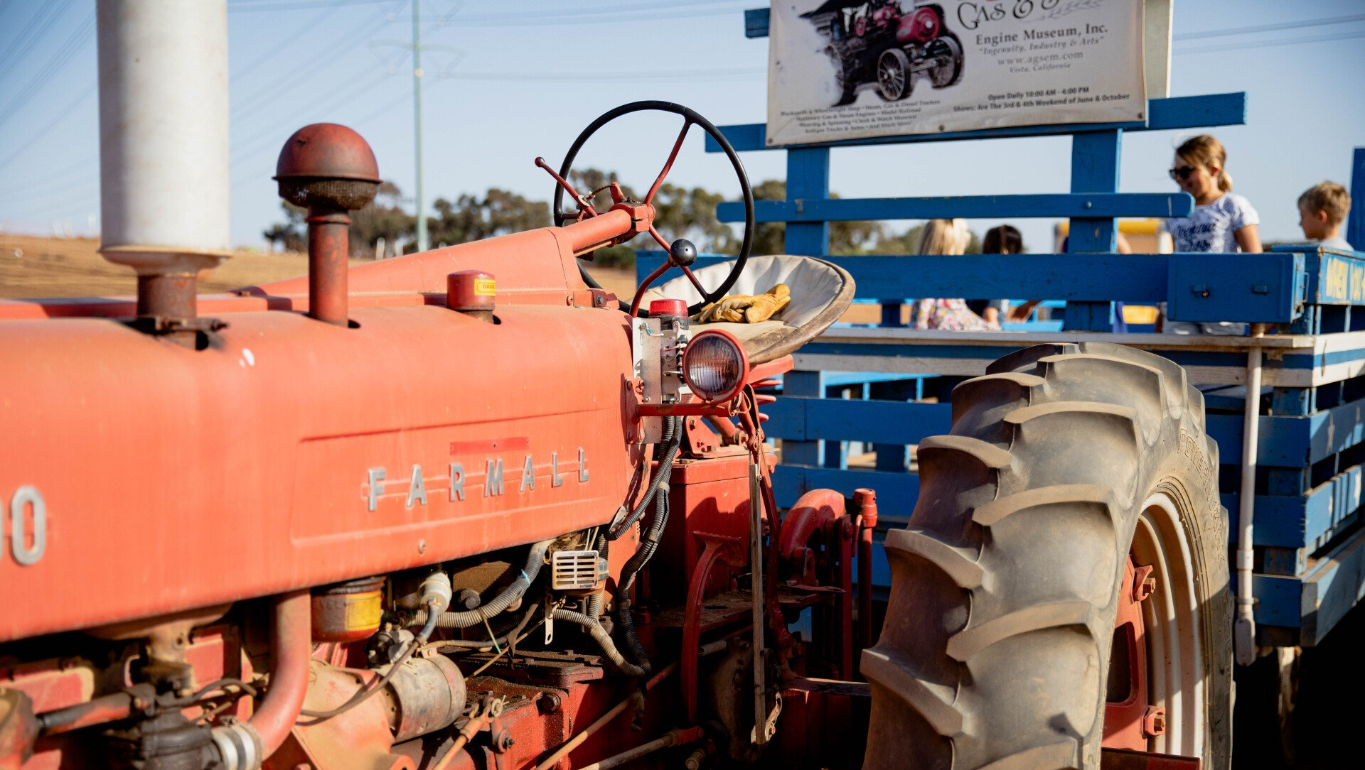 Pumpkin Patch | Carlsbad Strawberry Company