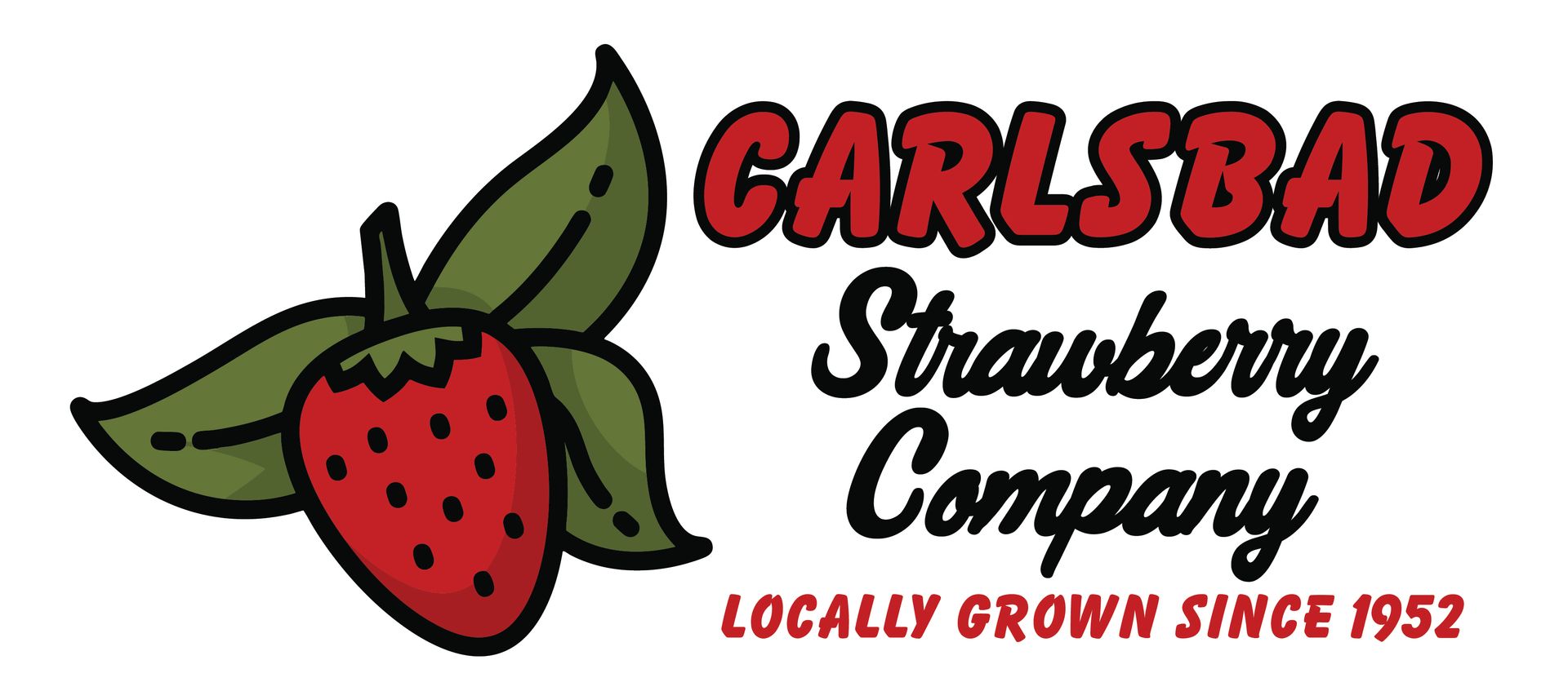Pumpkin Patch | Carlsbad Strawberry Company