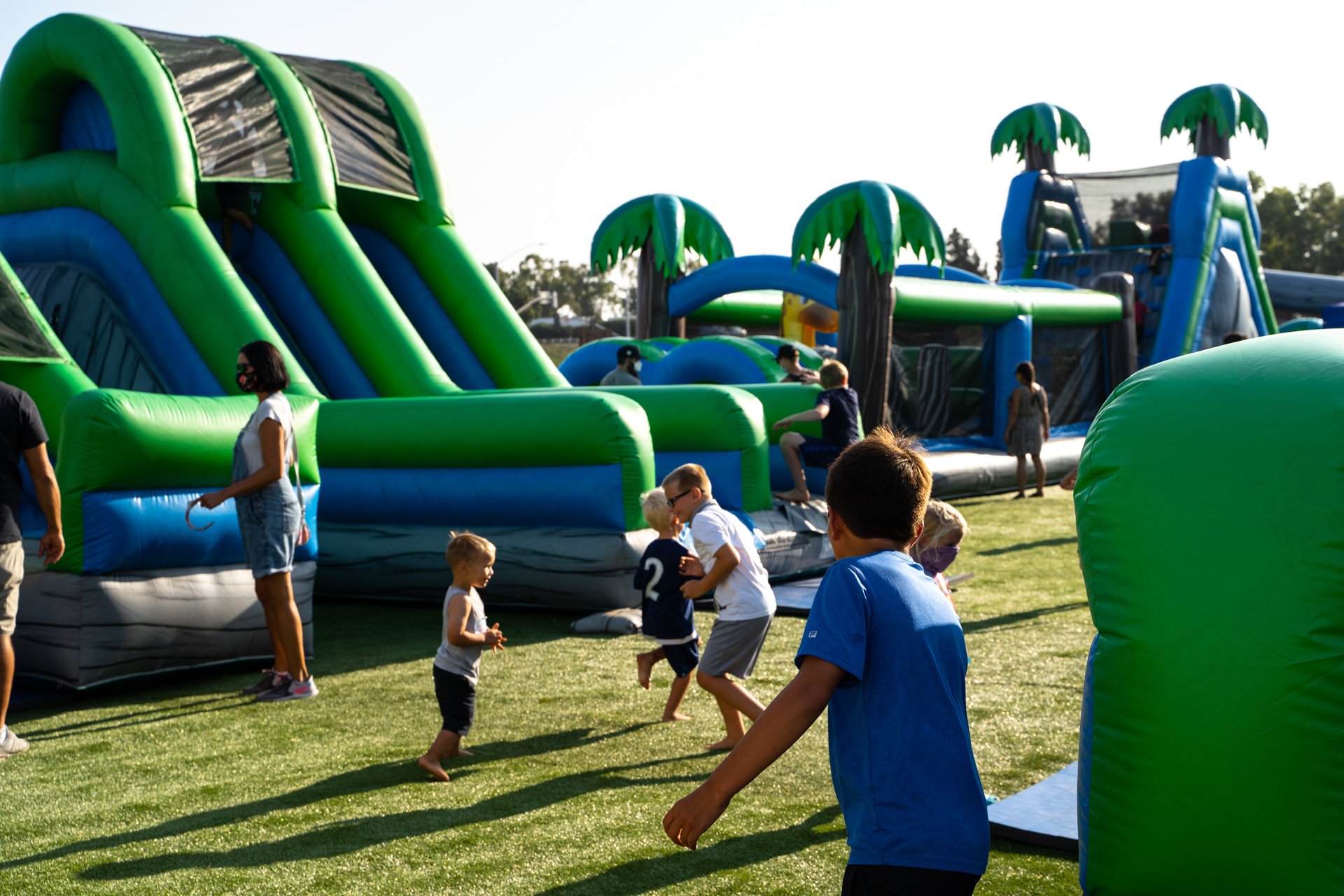 Pumpkin Patch | Carlsbad Strawberry Company