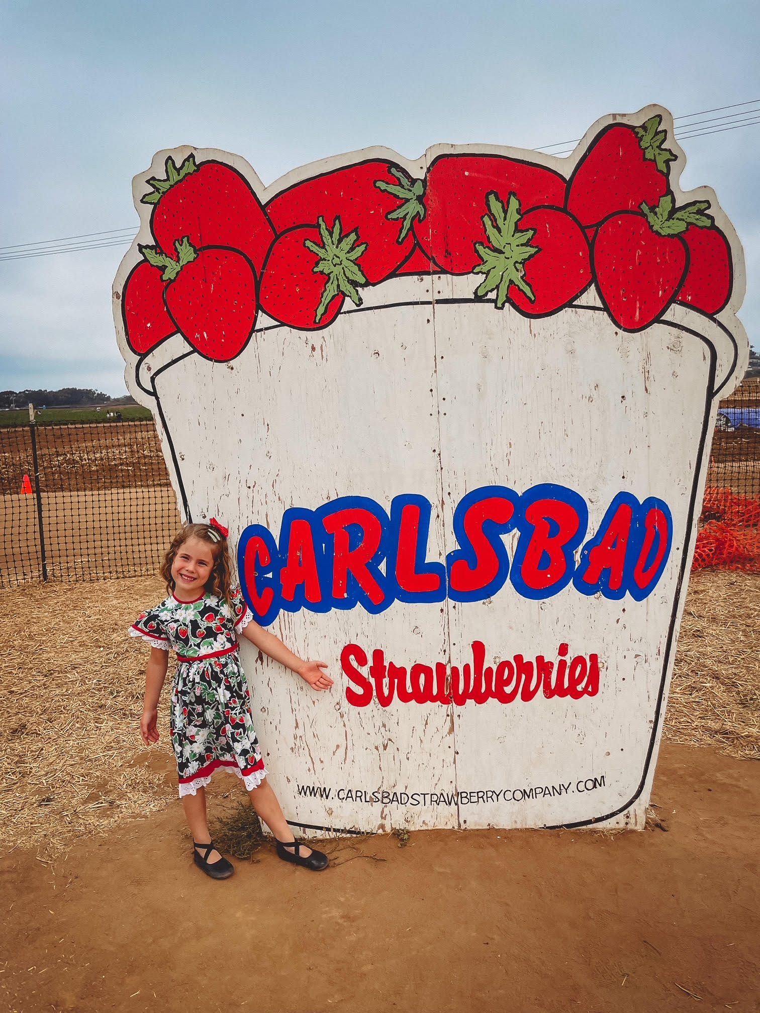 Carlsbad Strawberry Company