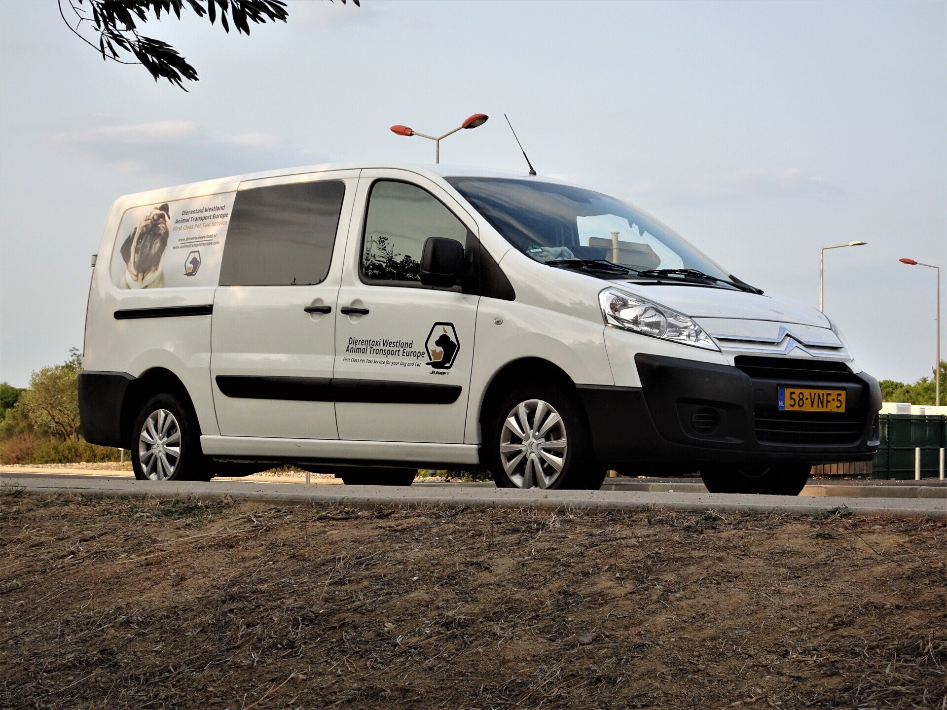 Dierentaxi Westland - Wie we zijn - Pet Transport Westland