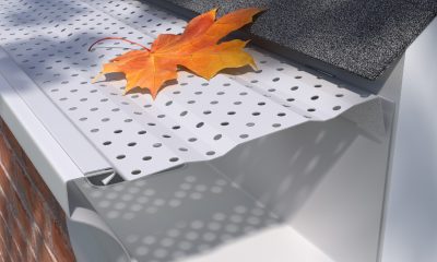 Pros and Cons of Gutter Guards