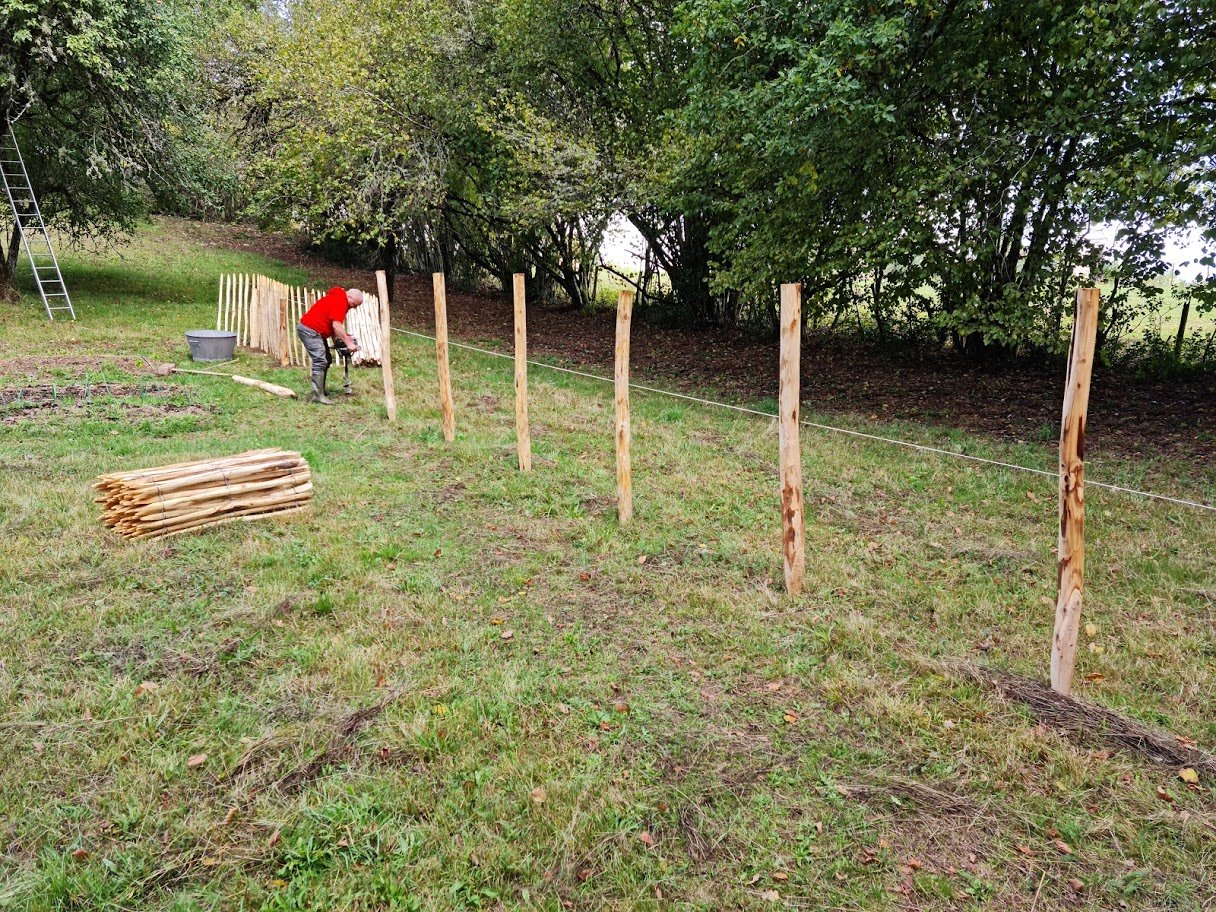 Piquets bois du Châtaignier | Woods Ambiance