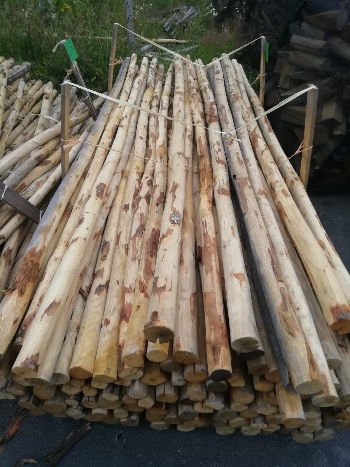 Piquets bois du Châtaignier | Woods Ambiance