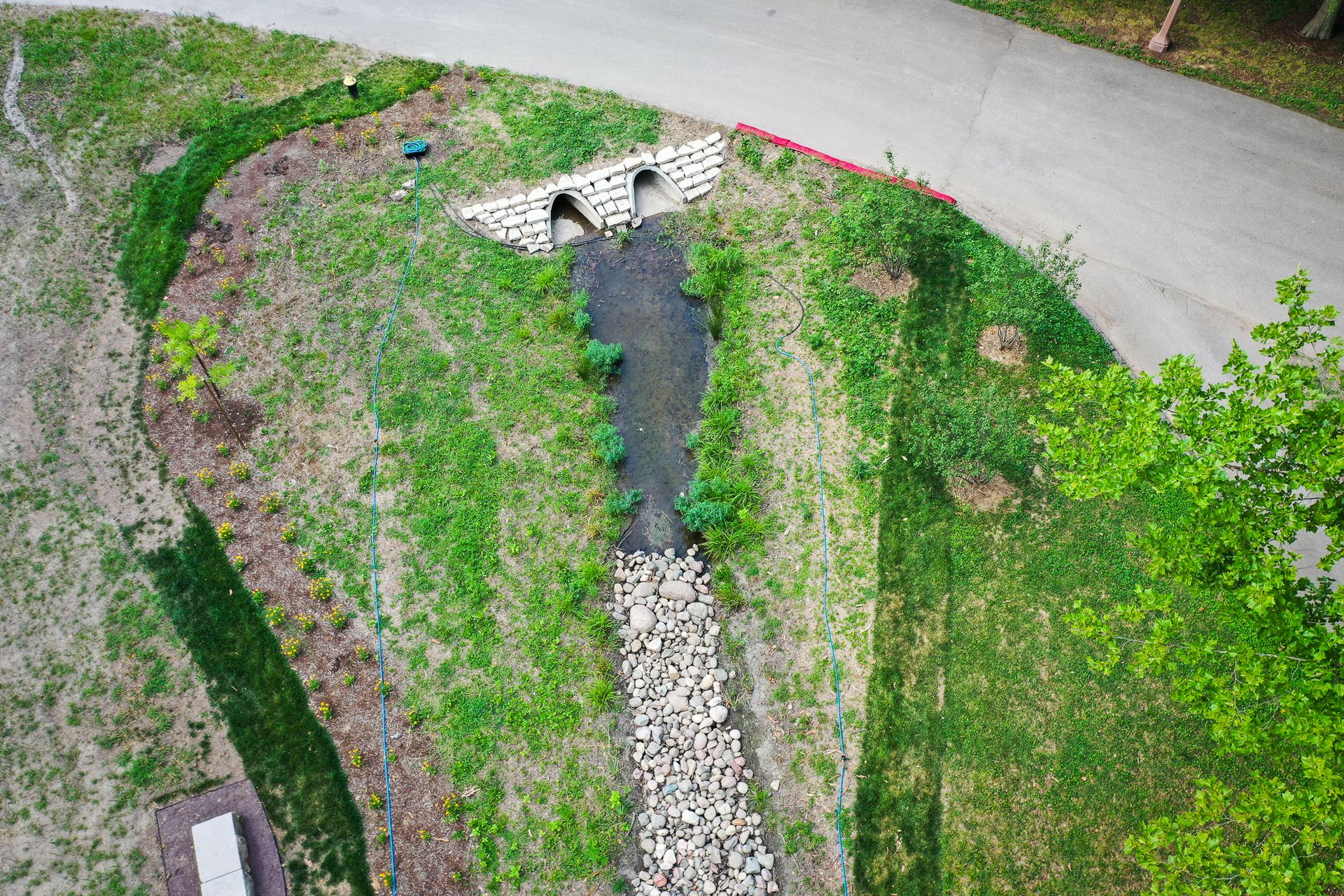 Tower Grove Park