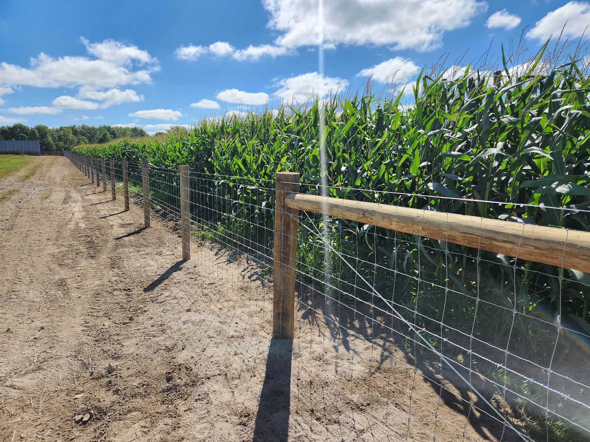 Agricultural Security Fencing | Columbus, IN | IAF