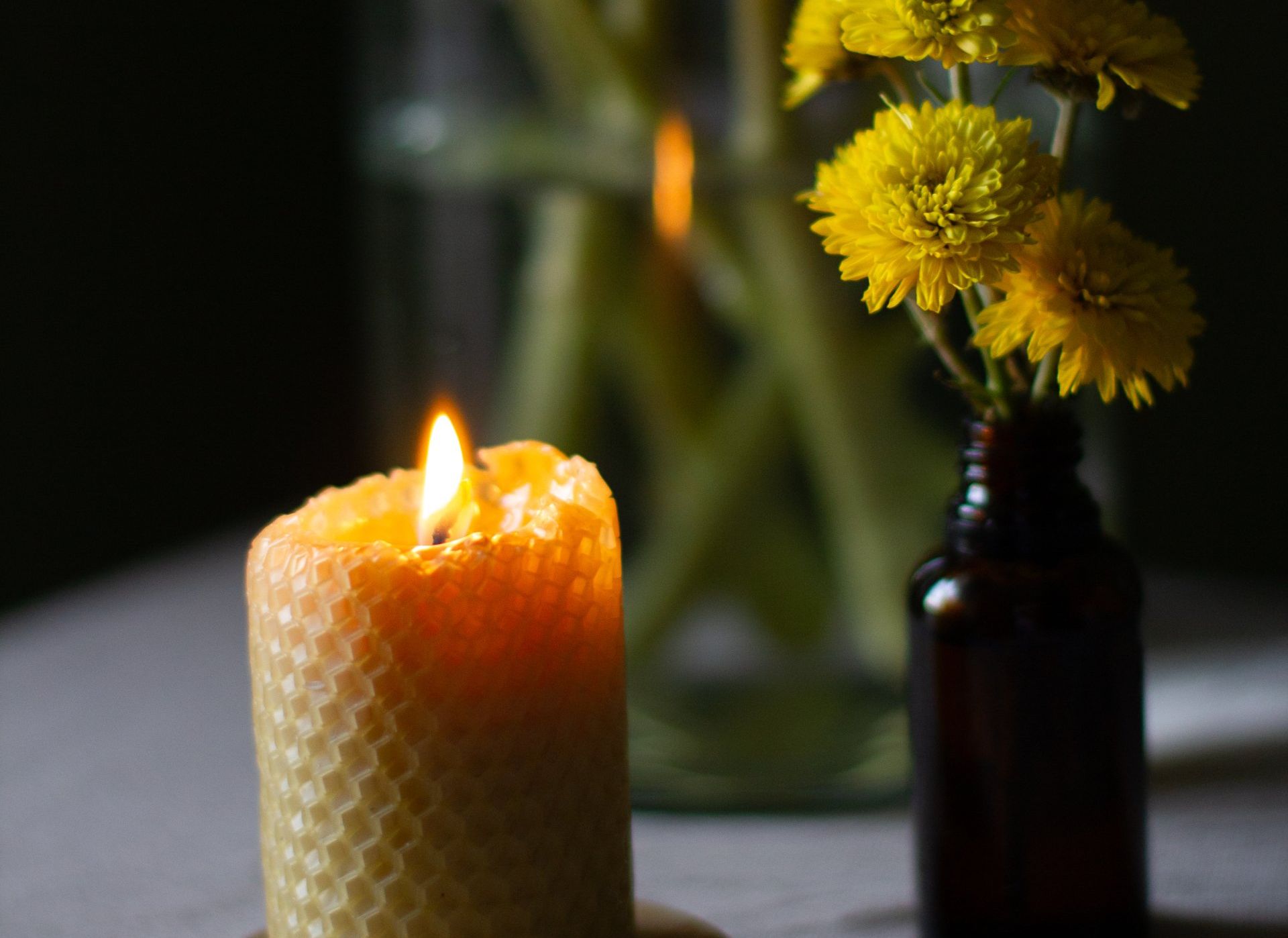 Dandelion Root Magic For Your Witchcraft Practice