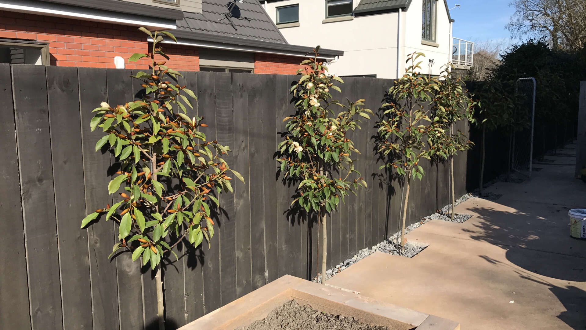 Planned Planting Specialists | Landscape Gardening | Christchurch