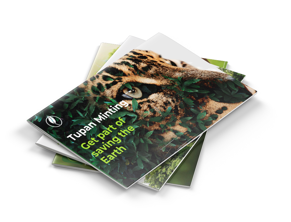 Tupan Community Token - TCT