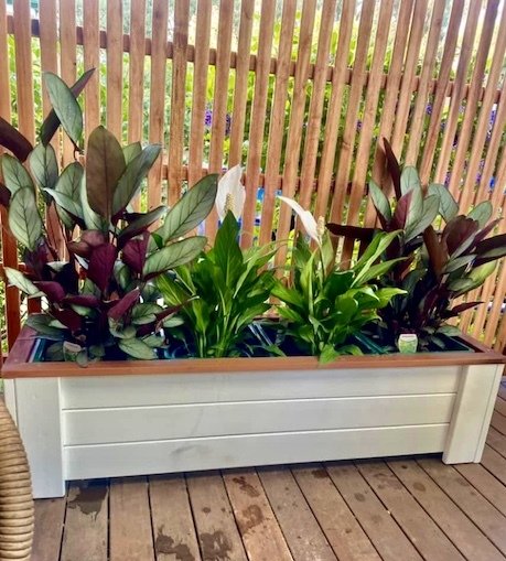 The Australian Planter Box Company