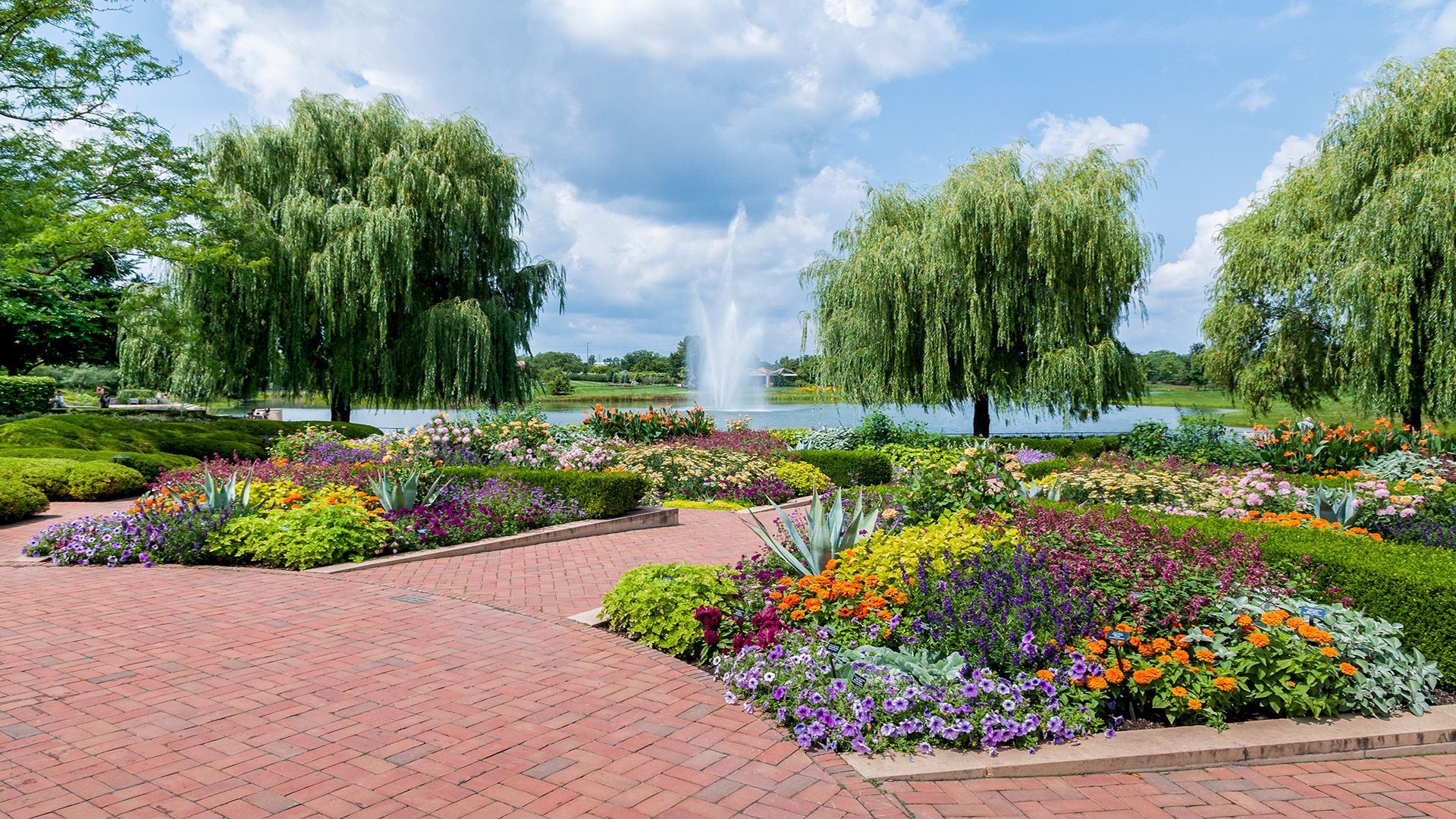 Obituaries in Park Ridge, IL | Cooney Funeral Home & Cremation Services