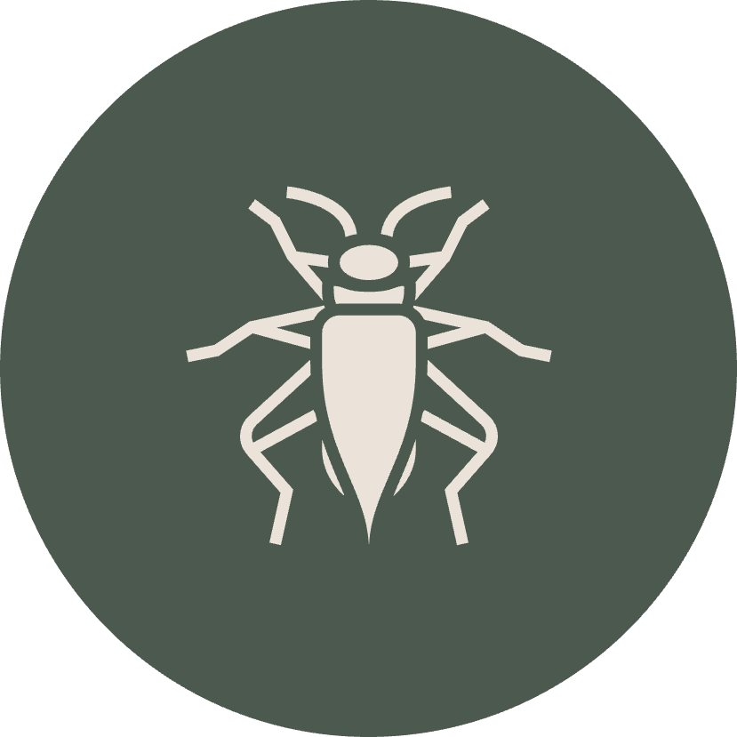 Phoenix-Area Pest Control Services | CAPE Pest Control