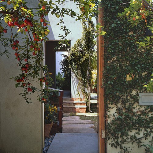 Davida Rochlin Architecture Green Building Consultation