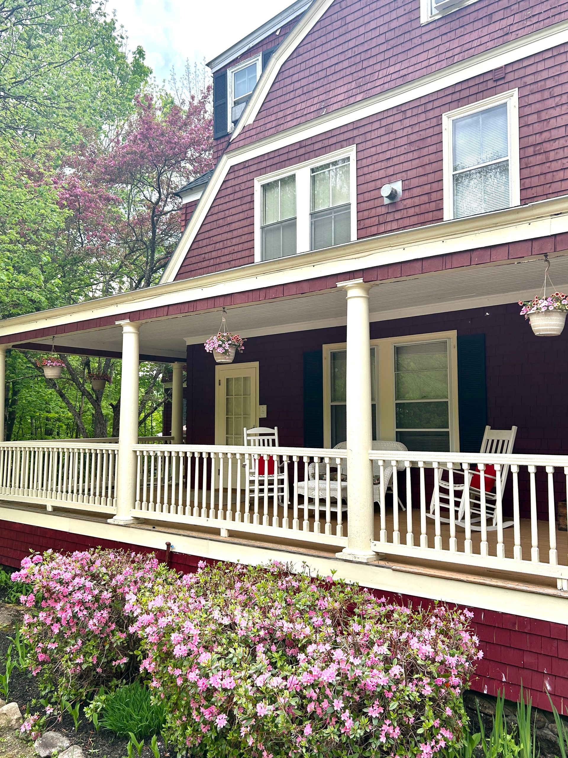 Take a Look at Our Pictures