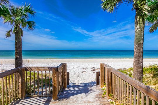 Anna Maria Island vs. Siesta Key | Passage Key Dolphin Tours