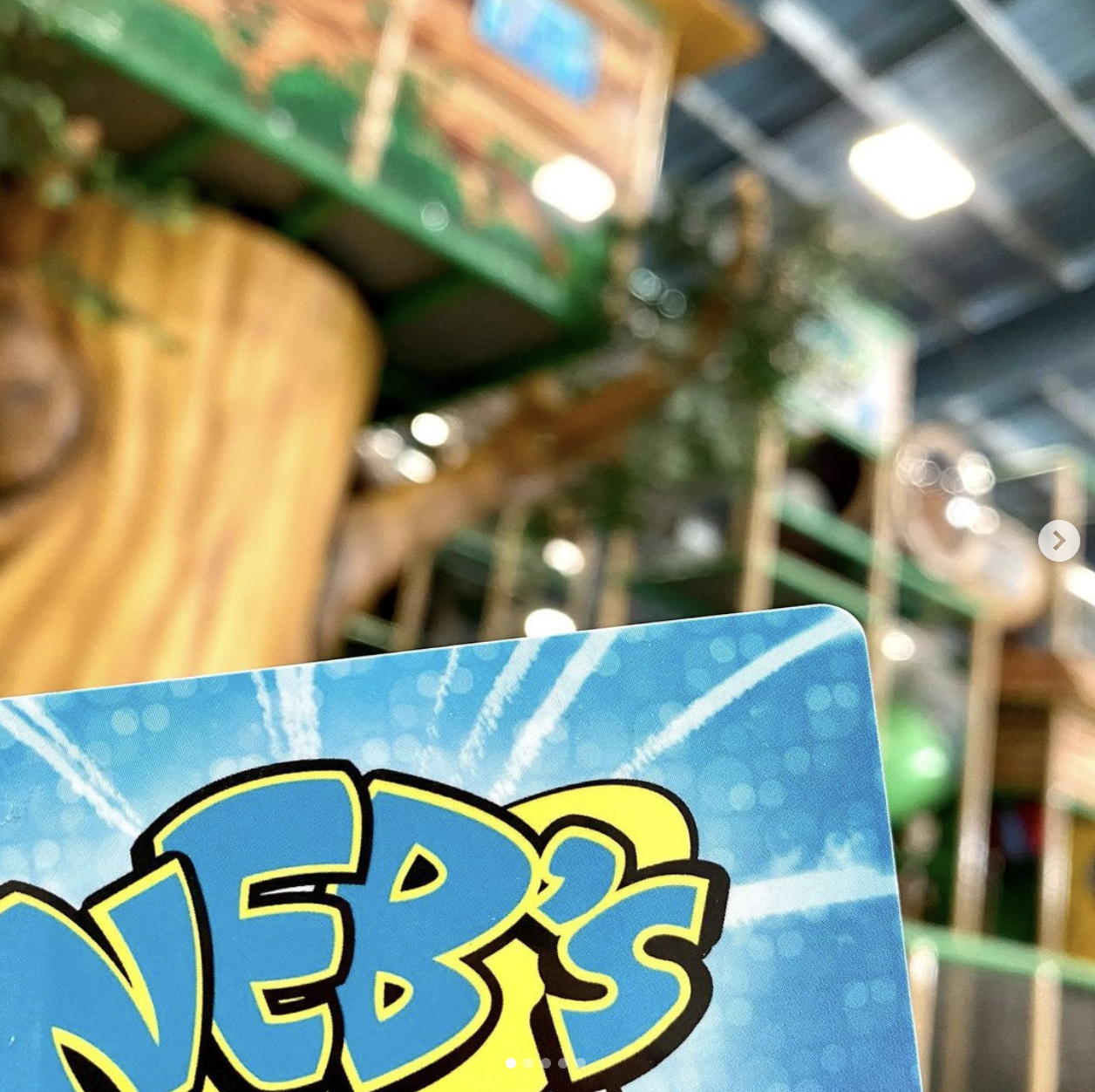 NEB's Fun World | General Info