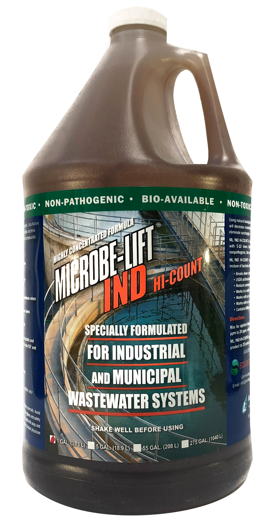 Our Bacteria