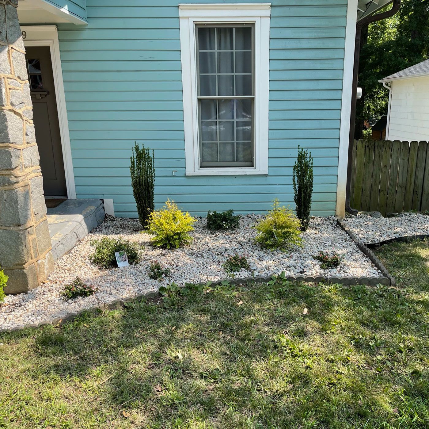 Landscapes | Charlotte, NC | Elephant Trunk Tree & Landscape