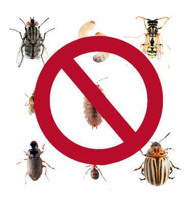 Pest Maintenance | Rochester, NY | Target Pest Control