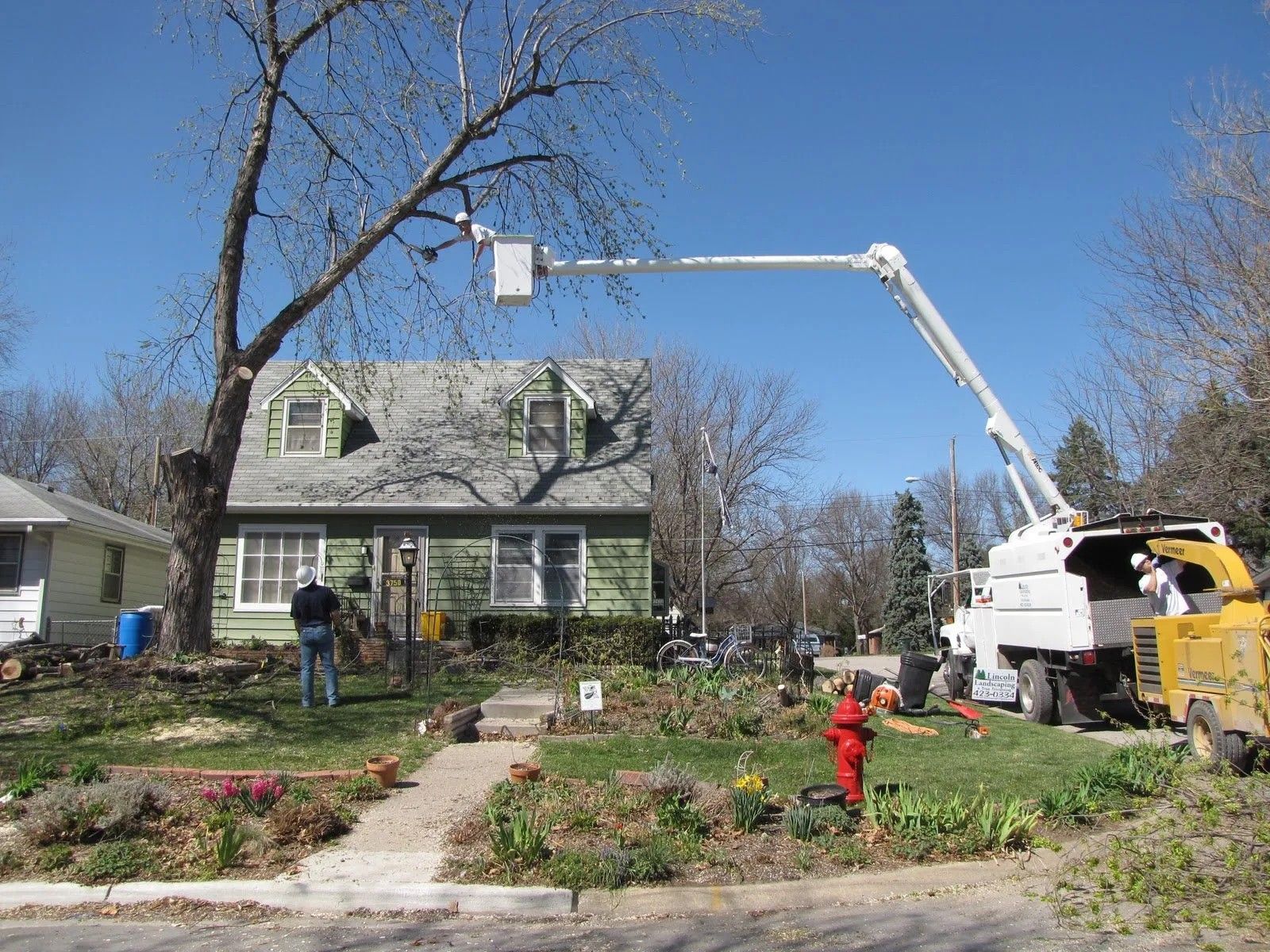 Tree Removal & Tree Trimming Services | Crest Hill, IL | 60403 | Chicago