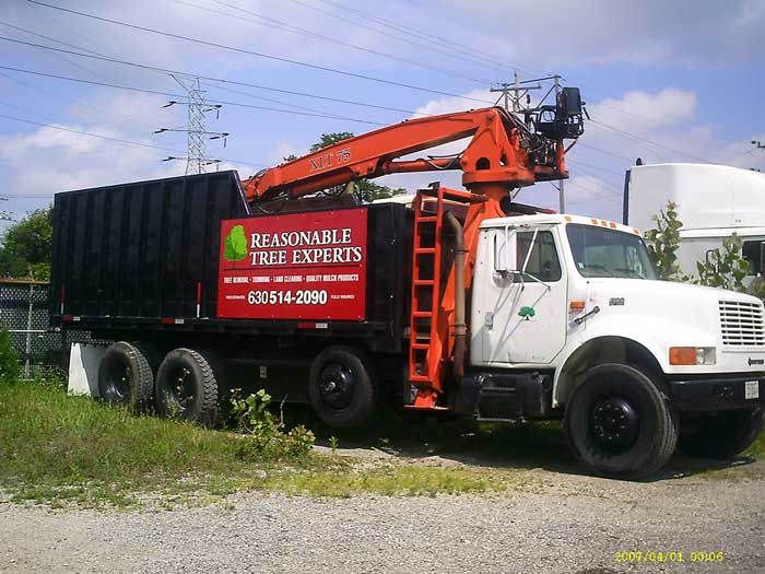 Tree Services Gallery | Crest Hill, IL | 60403 | Chicago, IL