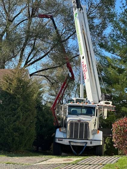 Tree Services Gallery | Crest Hill, IL | 60403 | Chicago, IL