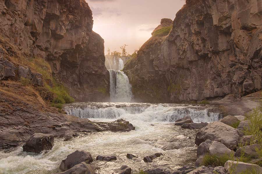 Home [www.maupinoregon.com]