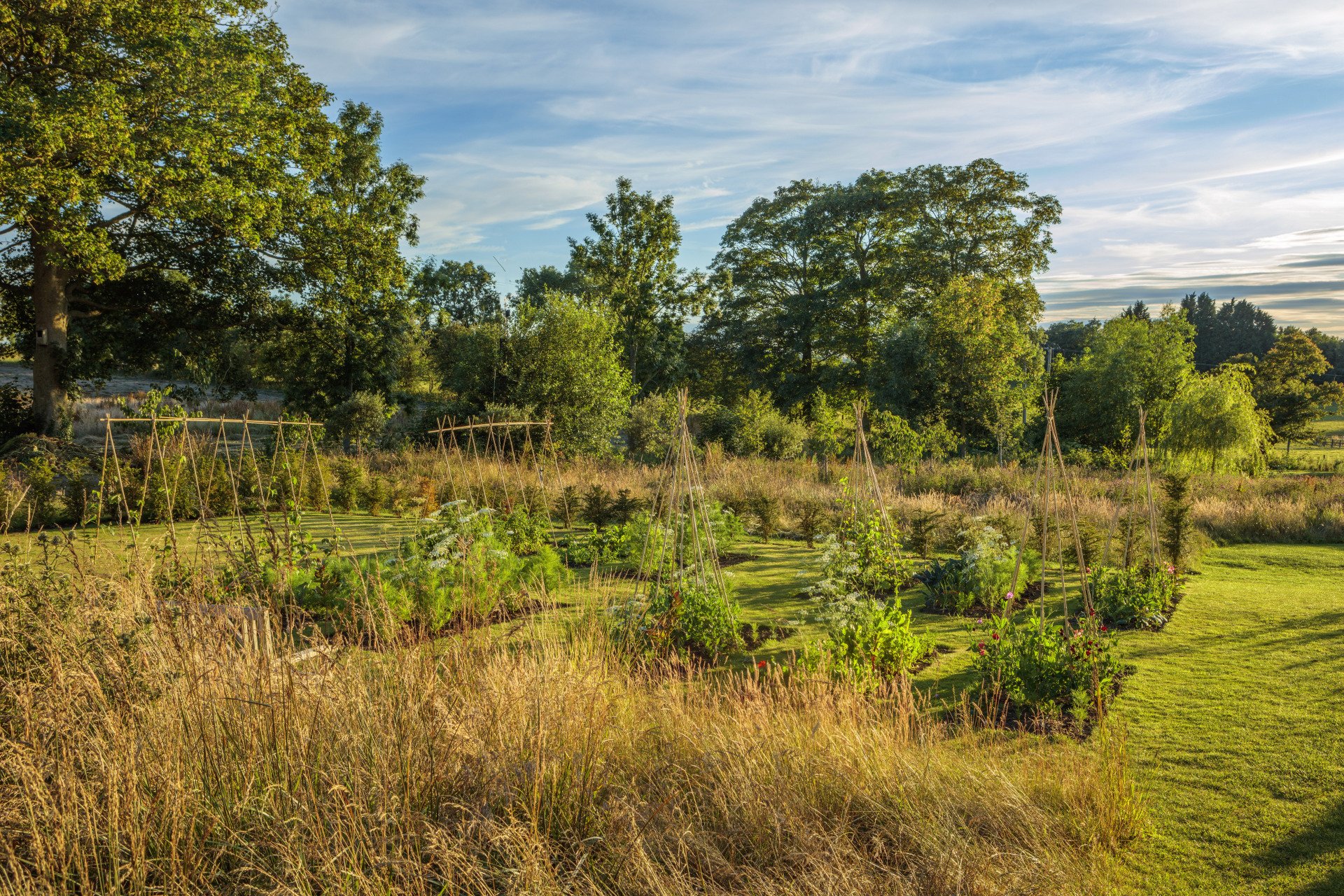 Gone to Ashbrook - Home