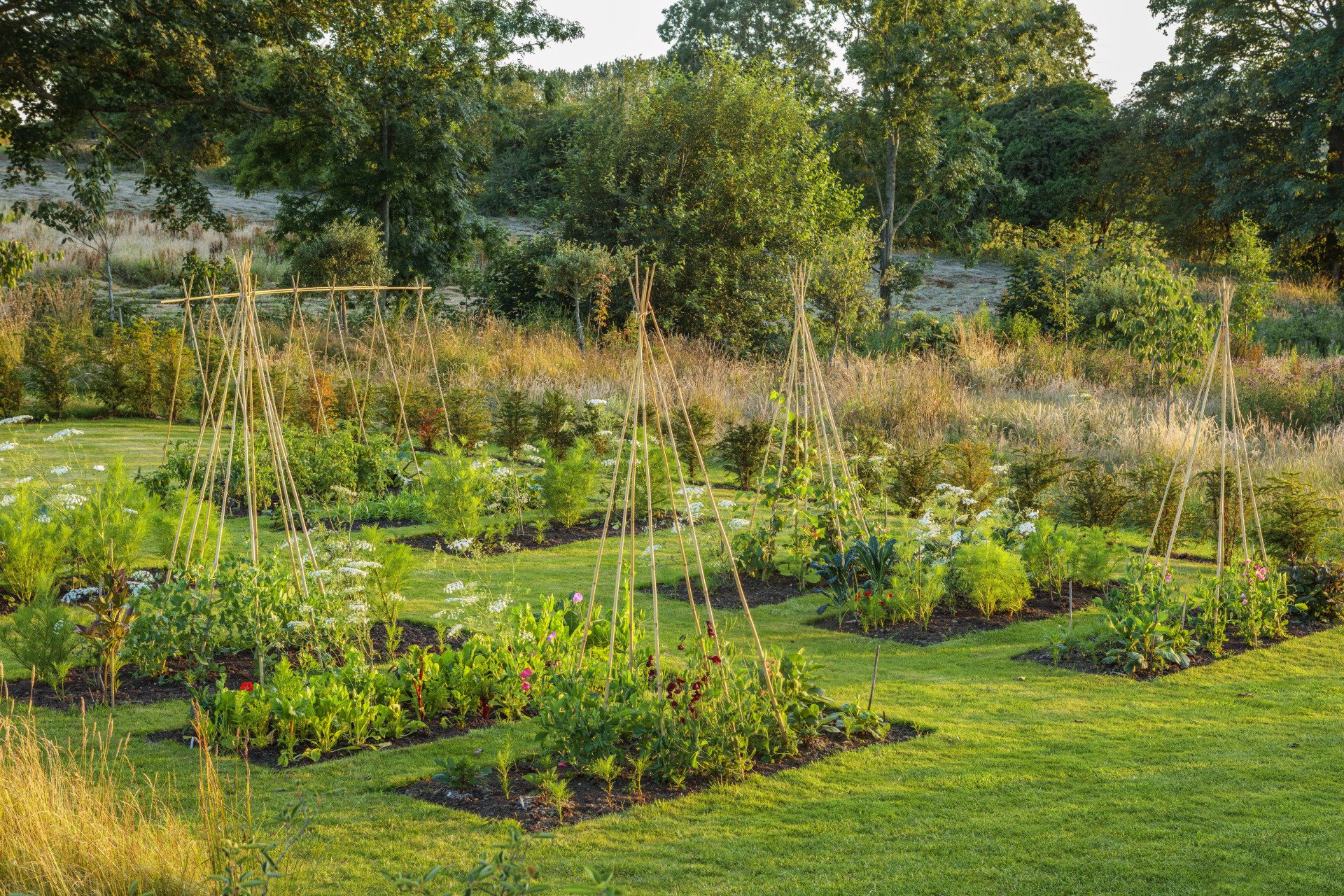 Gone to Ashbrook - Home