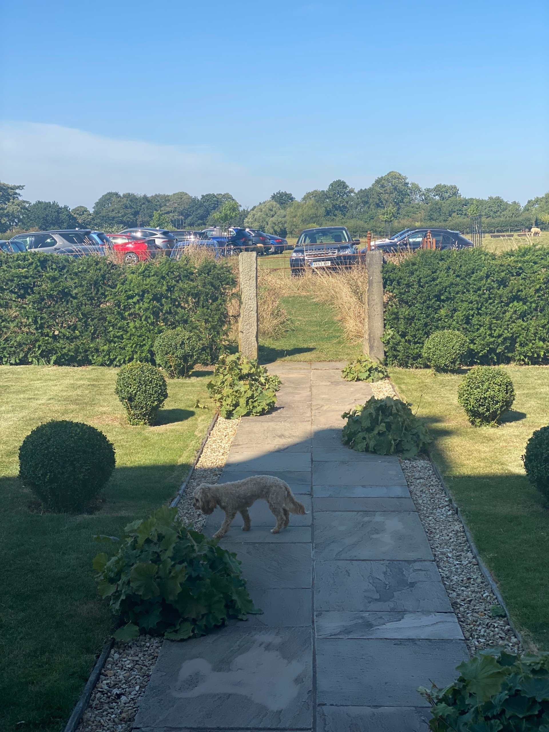 Gone to Ashbrook - Home