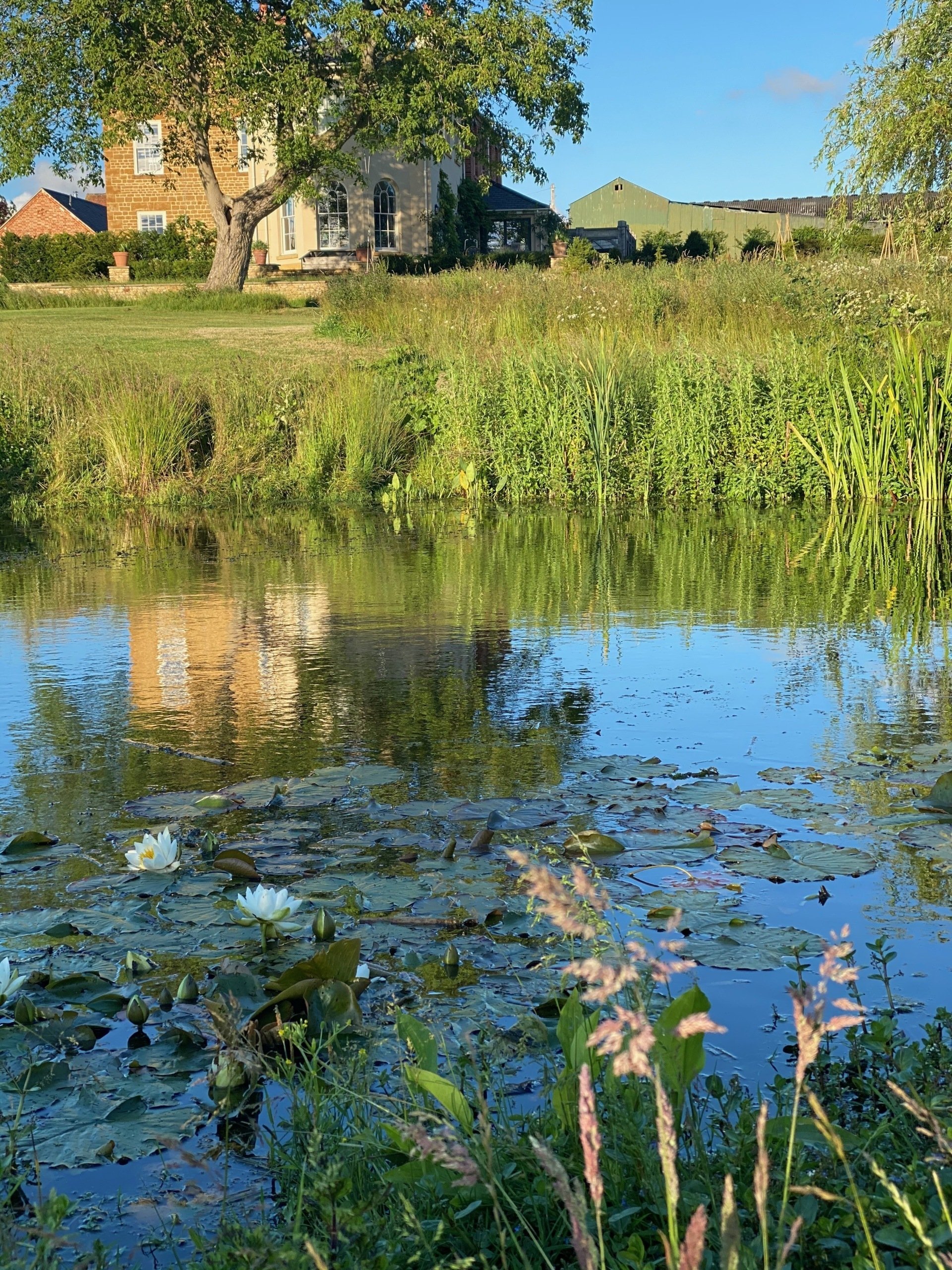 Gone to Ashbrook - Home