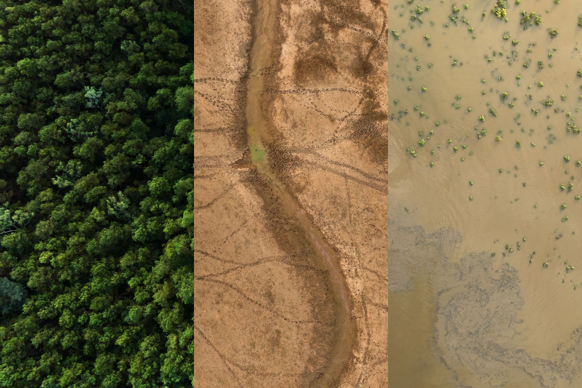 Super Grip Home Page