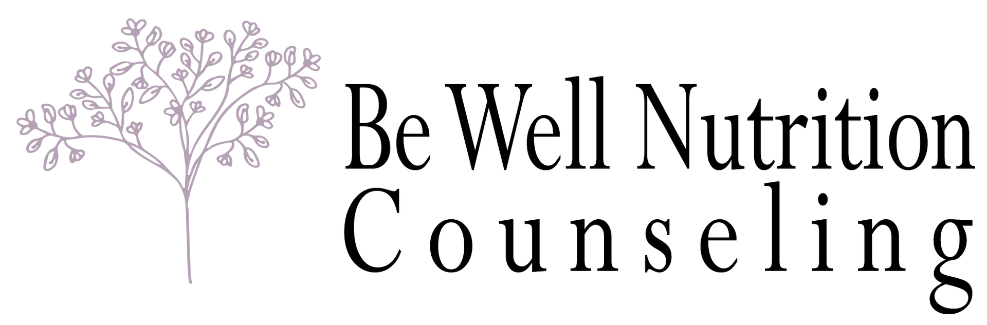 Nutrition Counseling Services | Alexa Schneider, RDN