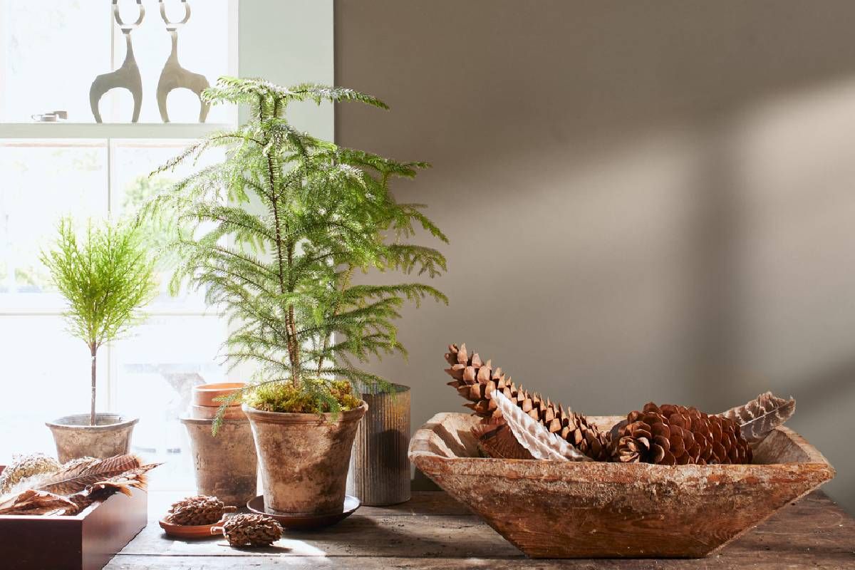 Fall Favorite Benjamin Moore Paint Colors | Supershade South