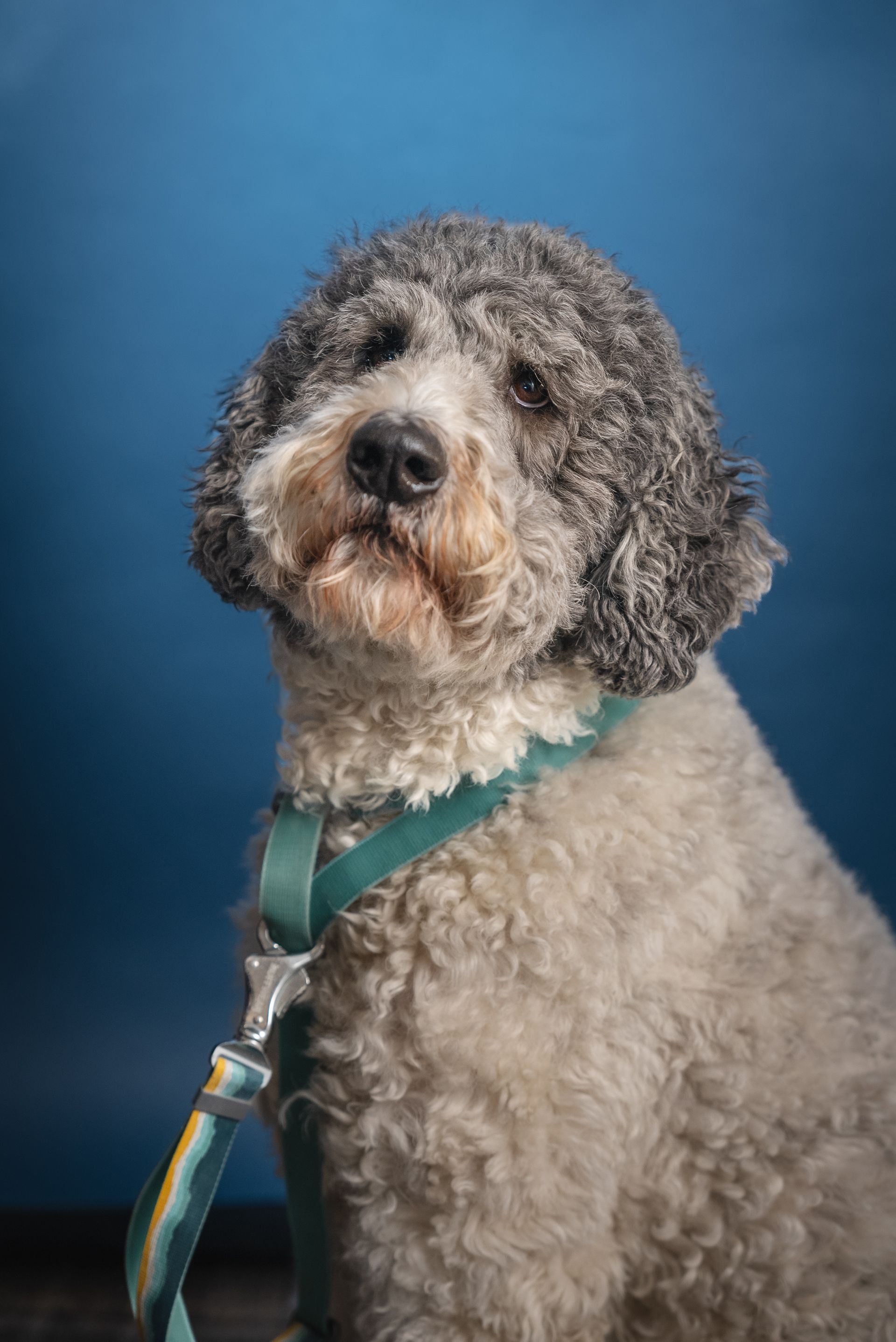 Meet The Team | CDL PowerSuite