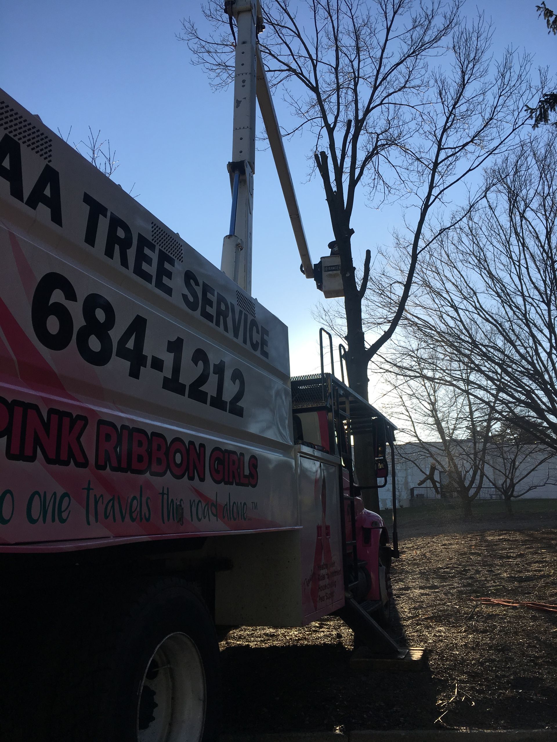 Expert Tree Removal Services | Centerville & Kettering, OH | AAA Tree ...