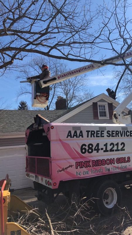Expert Tree Removal Services | Centerville & Kettering, OH | AAA Tree ...