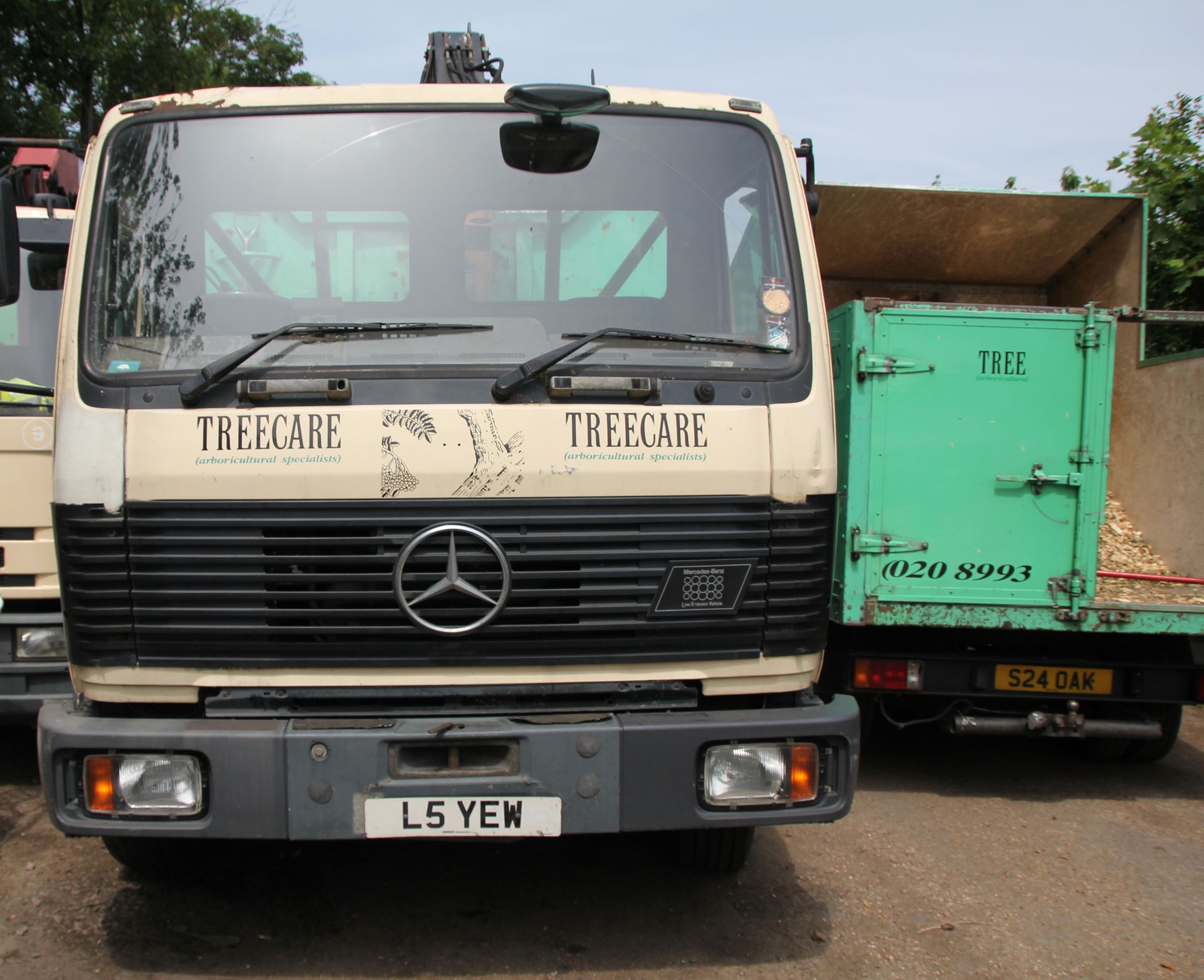 Treecare Limited Tree Surgery Services in London and SE